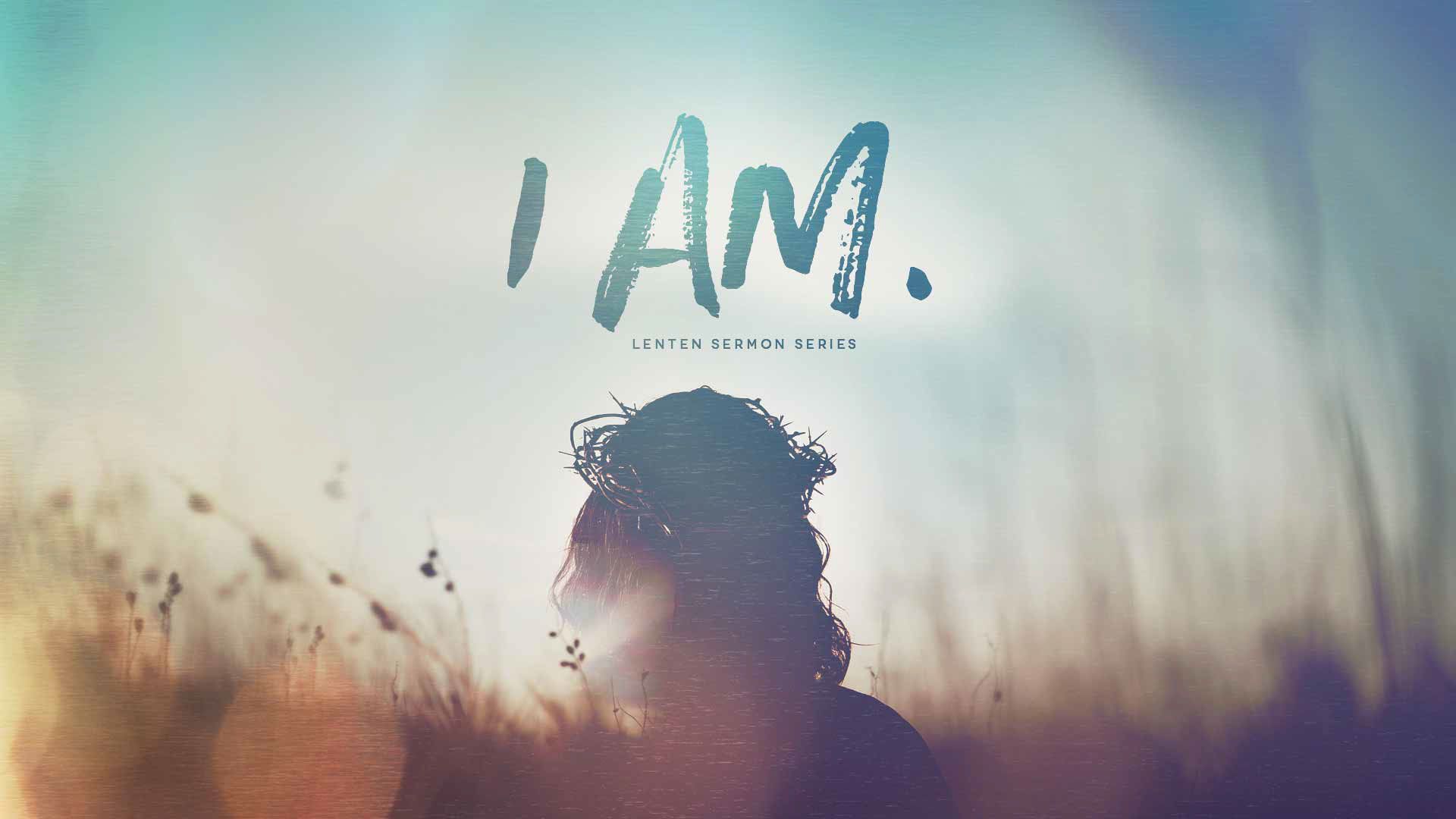 I Am Series: The True Vine