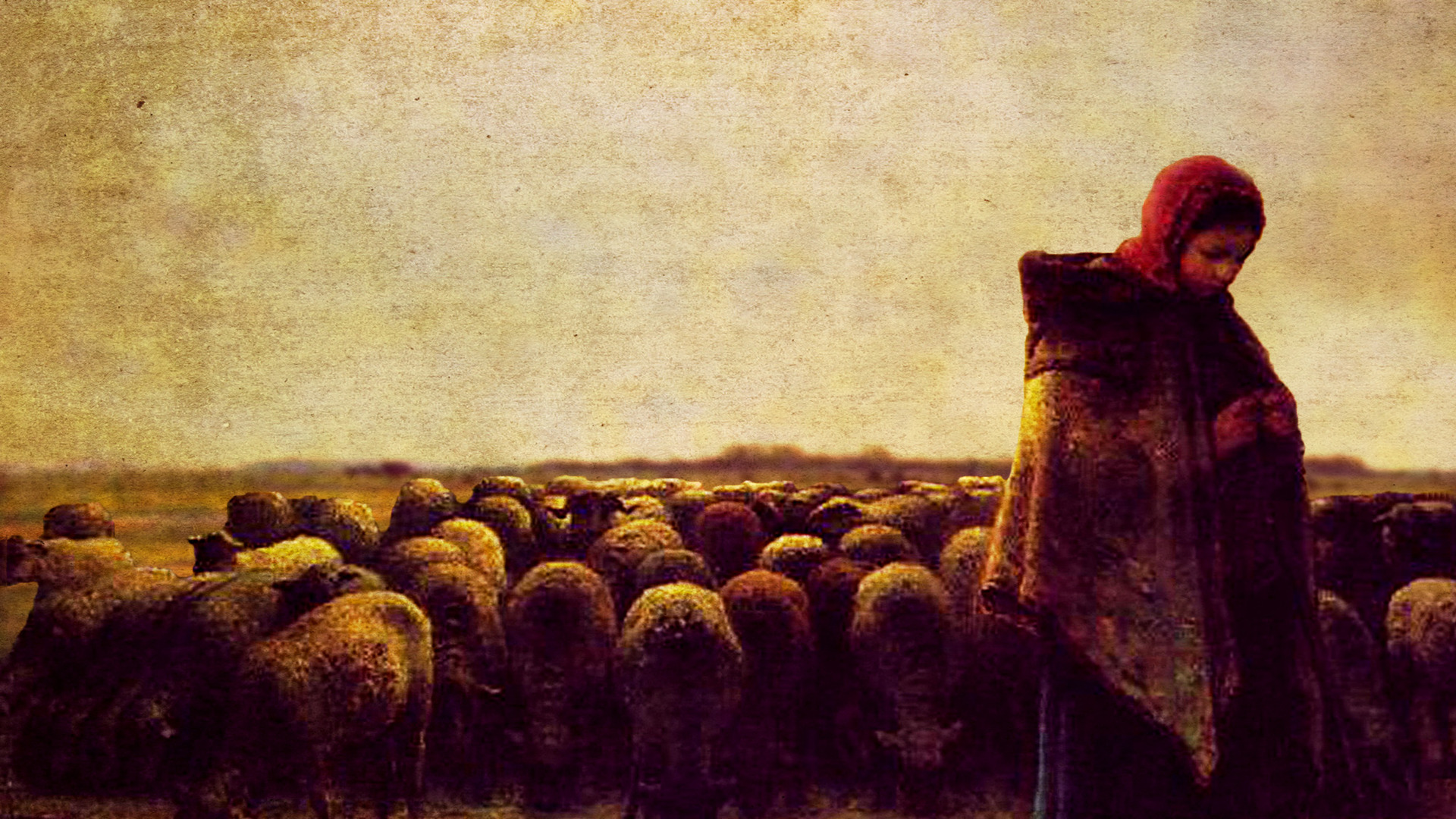 Jesus Warns About Wolves