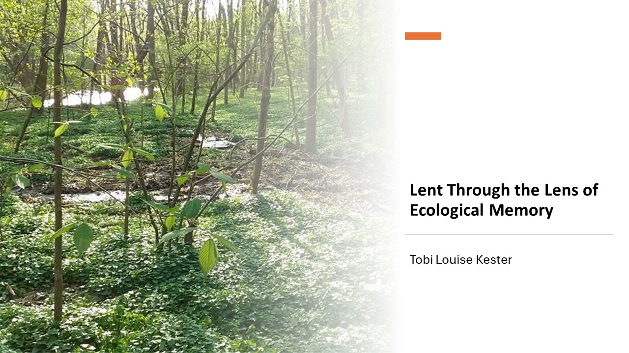 Lent Through the Lens of Ecological Memory