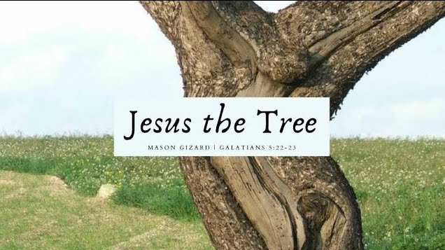 Jesus the Tree