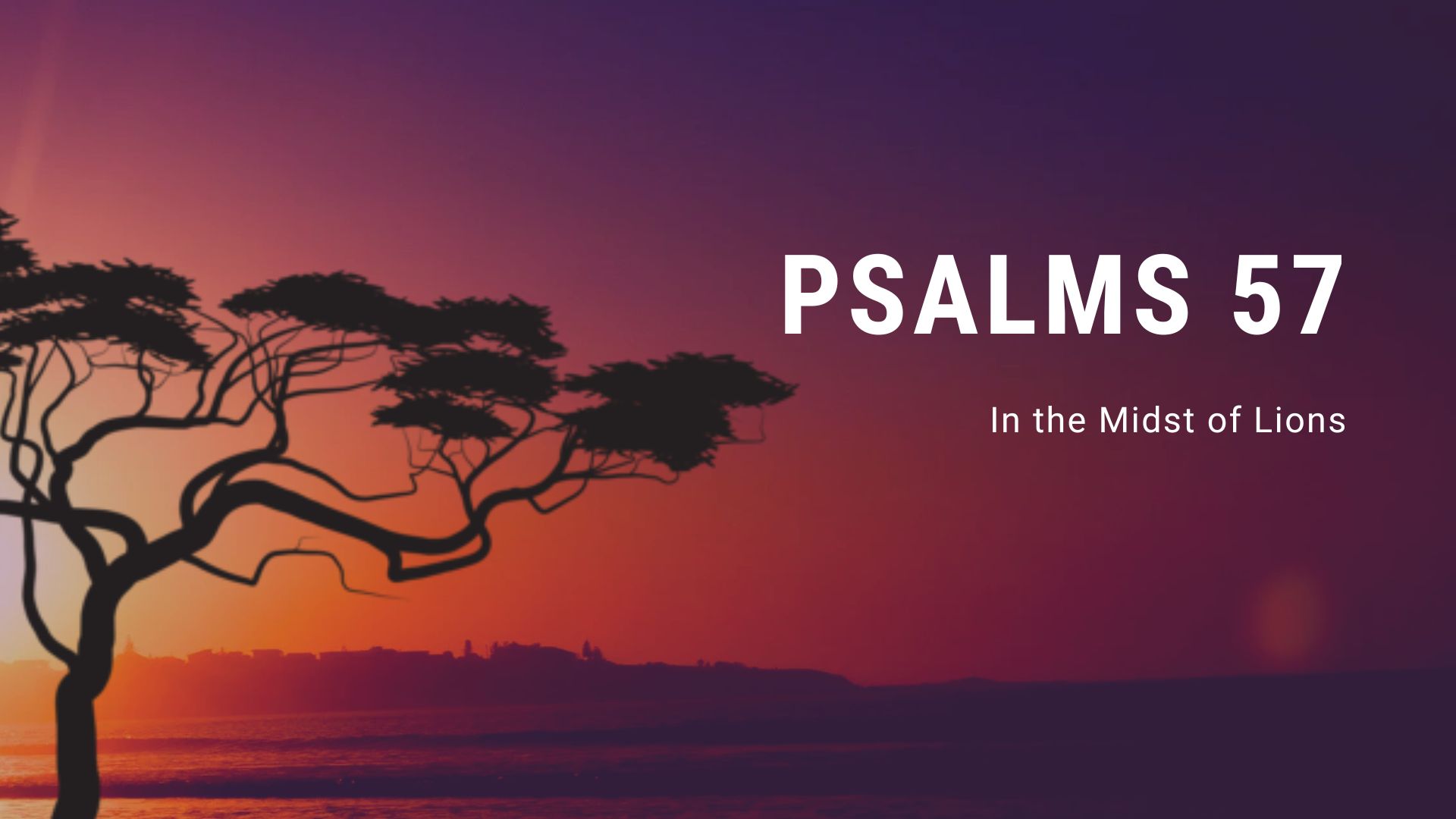 Psalms 57 - In the Midst of Lions