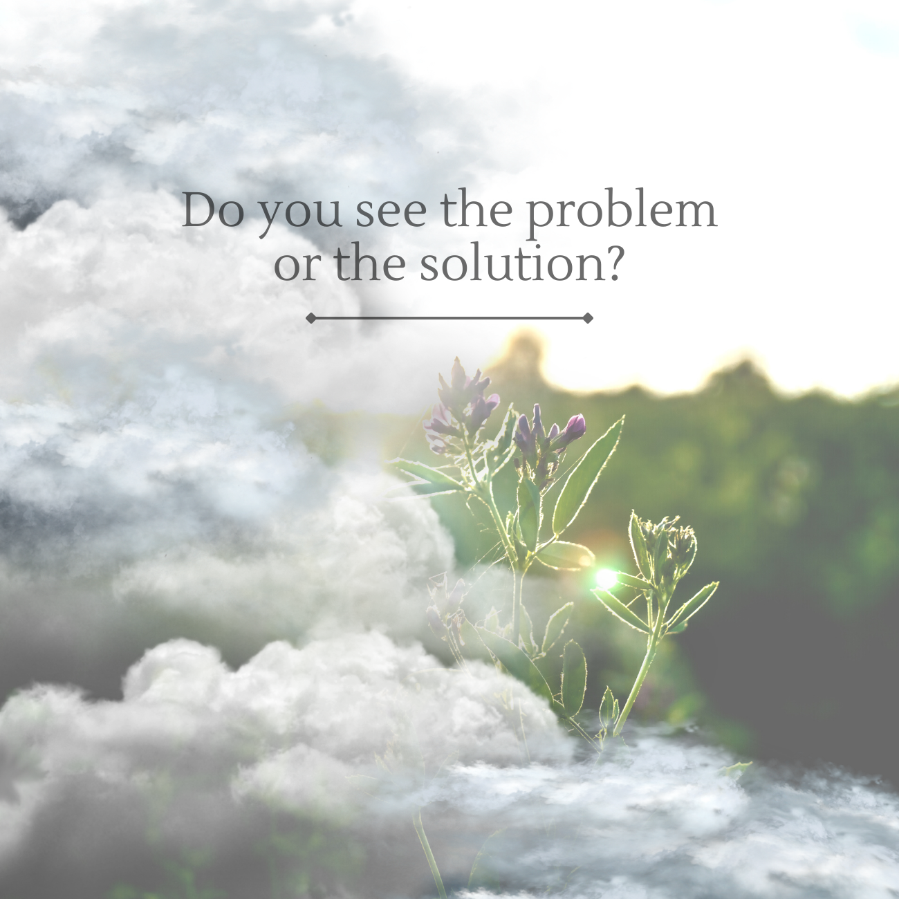 Do You See the Problem or the Solution? Dr. Ralph Freda