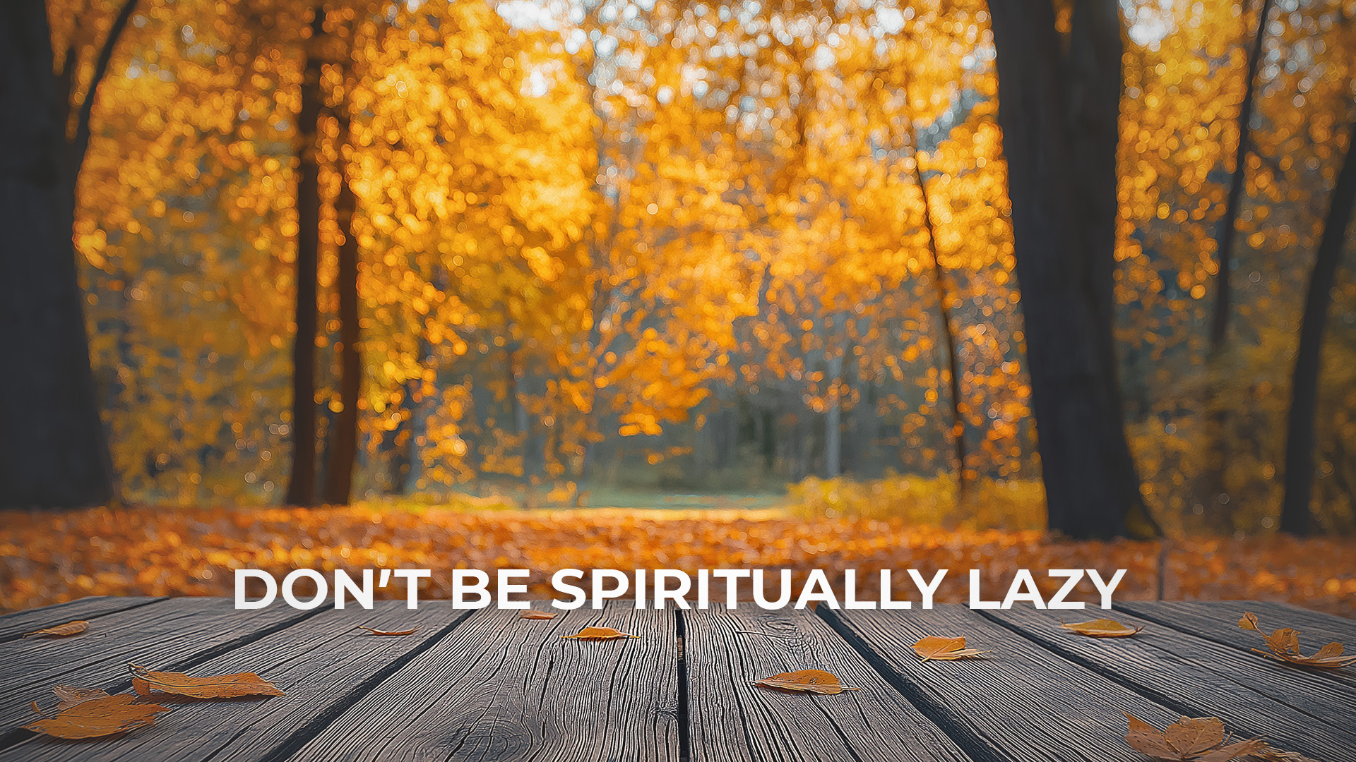 Don't Be Spiritually Lazy