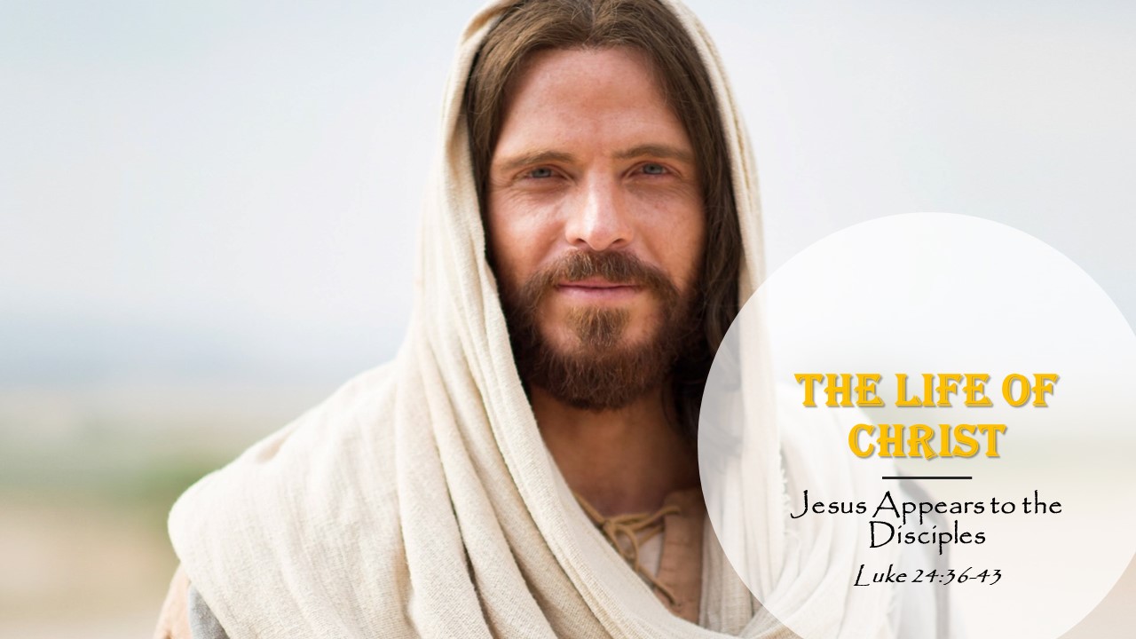 Jesus Appears to the Disciples