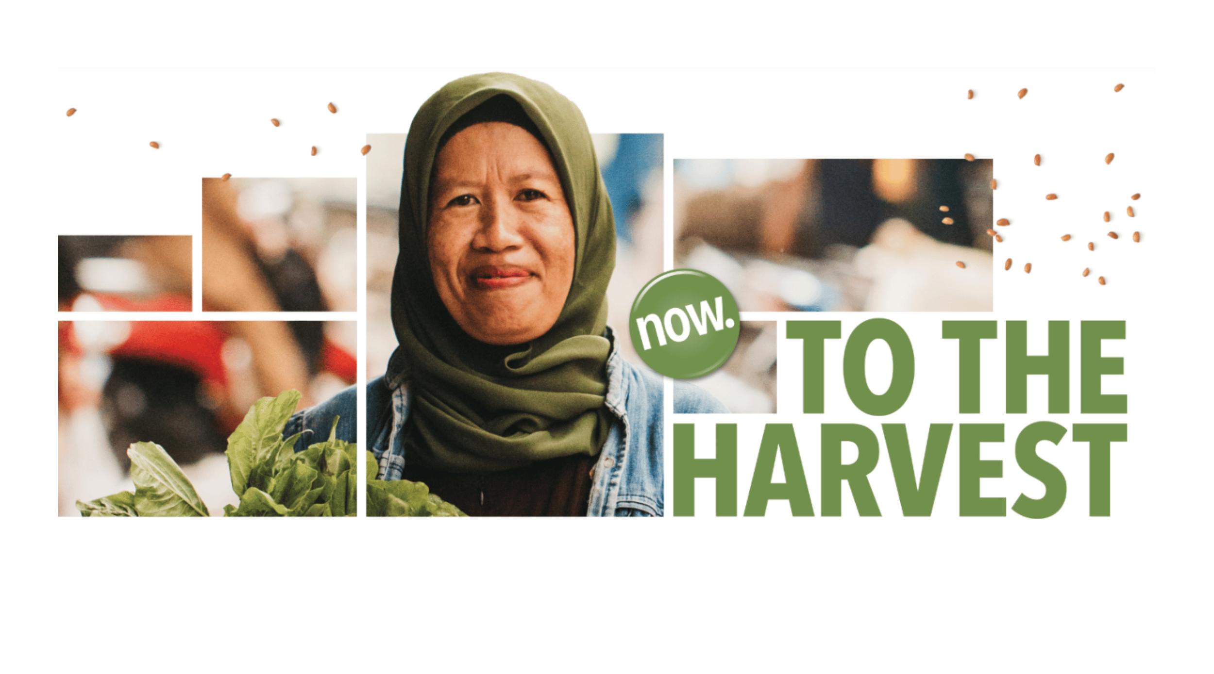 Missions Sunday: Now to the Harvest
