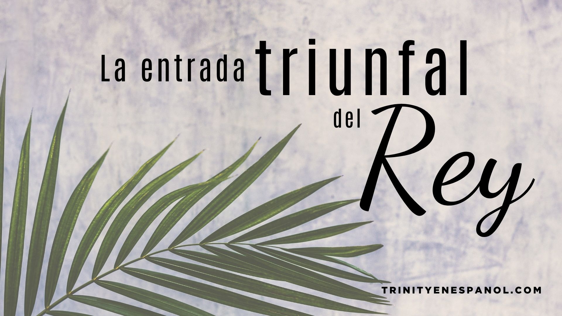 La entrada triunfal del Rey