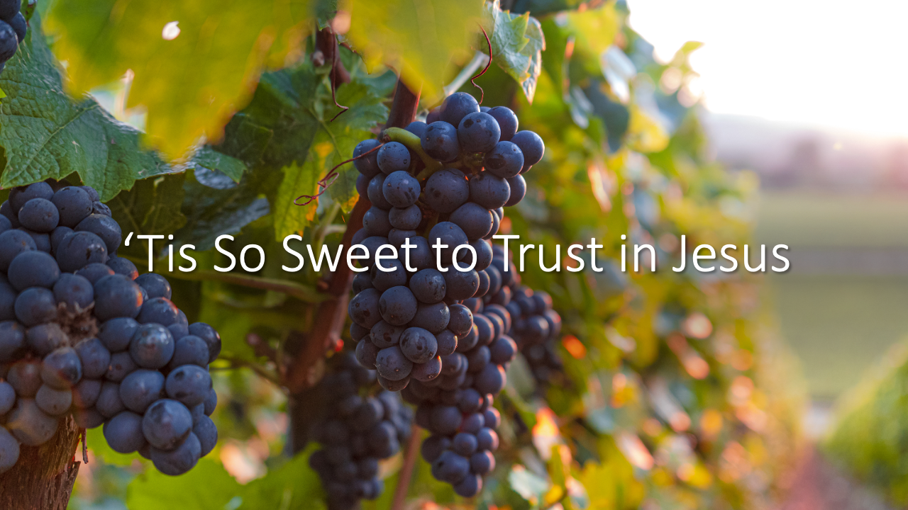 Tis So Sweet To Trust In Jesus