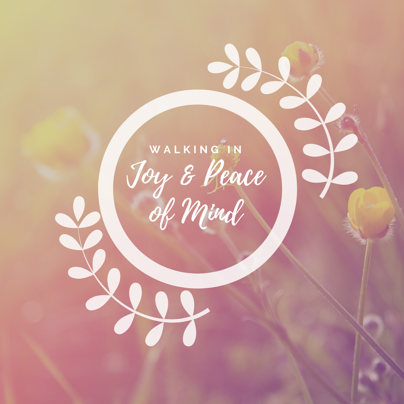 Walking in Joy and Peace of Mind - Pastor Jim Wehrer