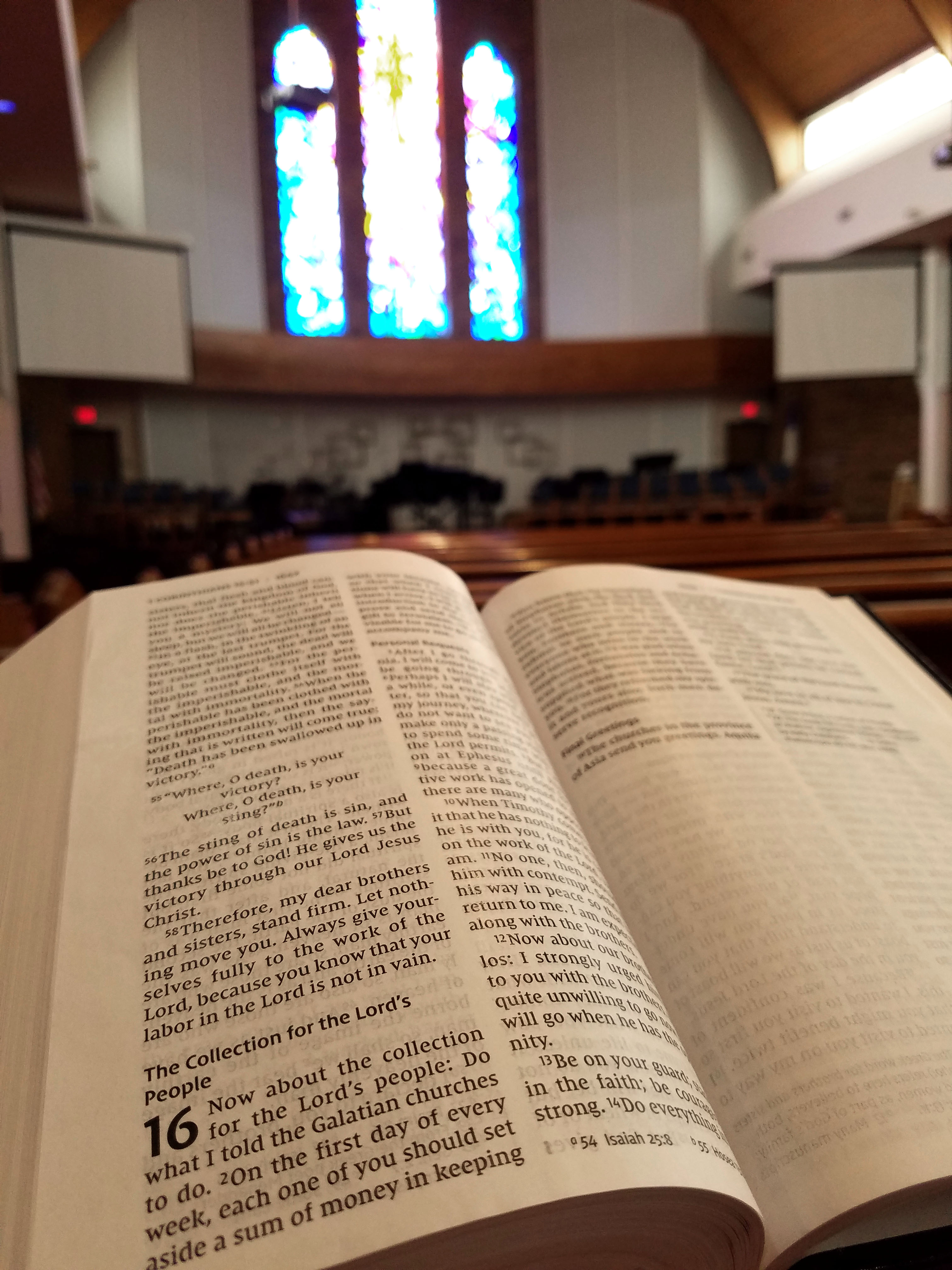 Adult Bible Fellowships