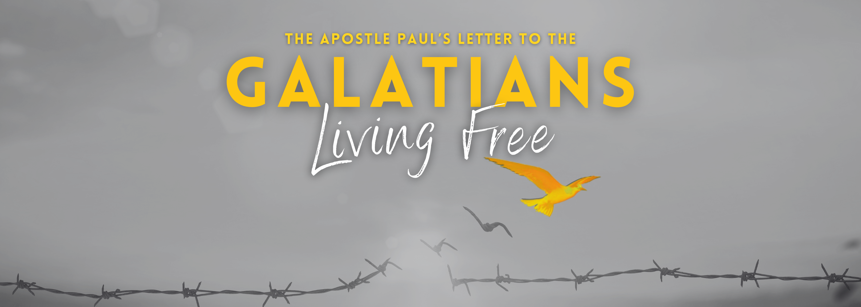 Galatians 2:11-21 / Andrew Rees / 4th August 2024