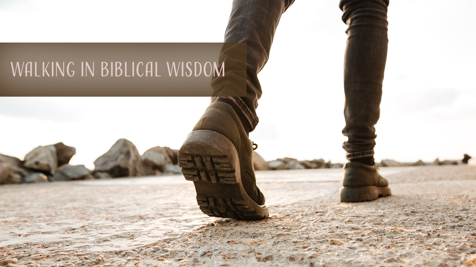 Walking in Biblical Wisdom
