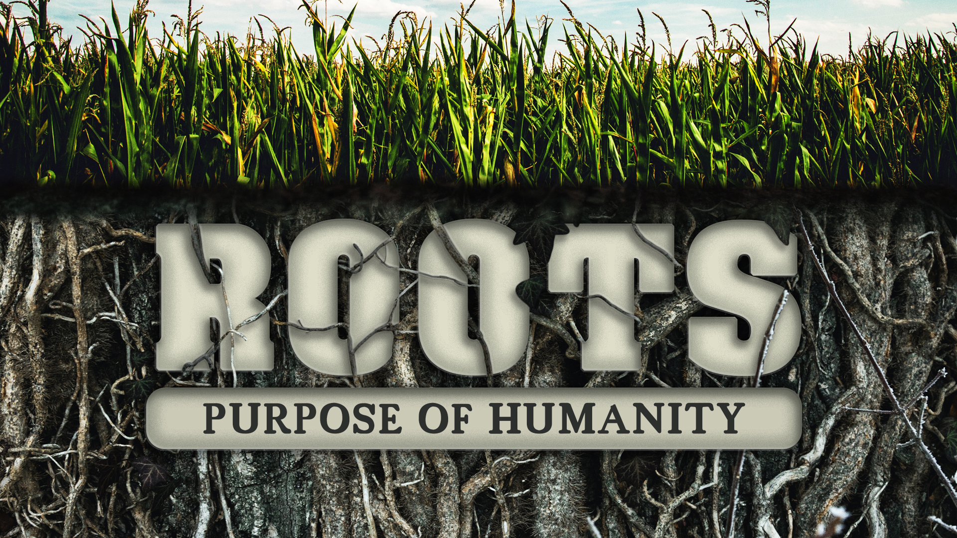 Roots - Part 12: Purpose of Humanity