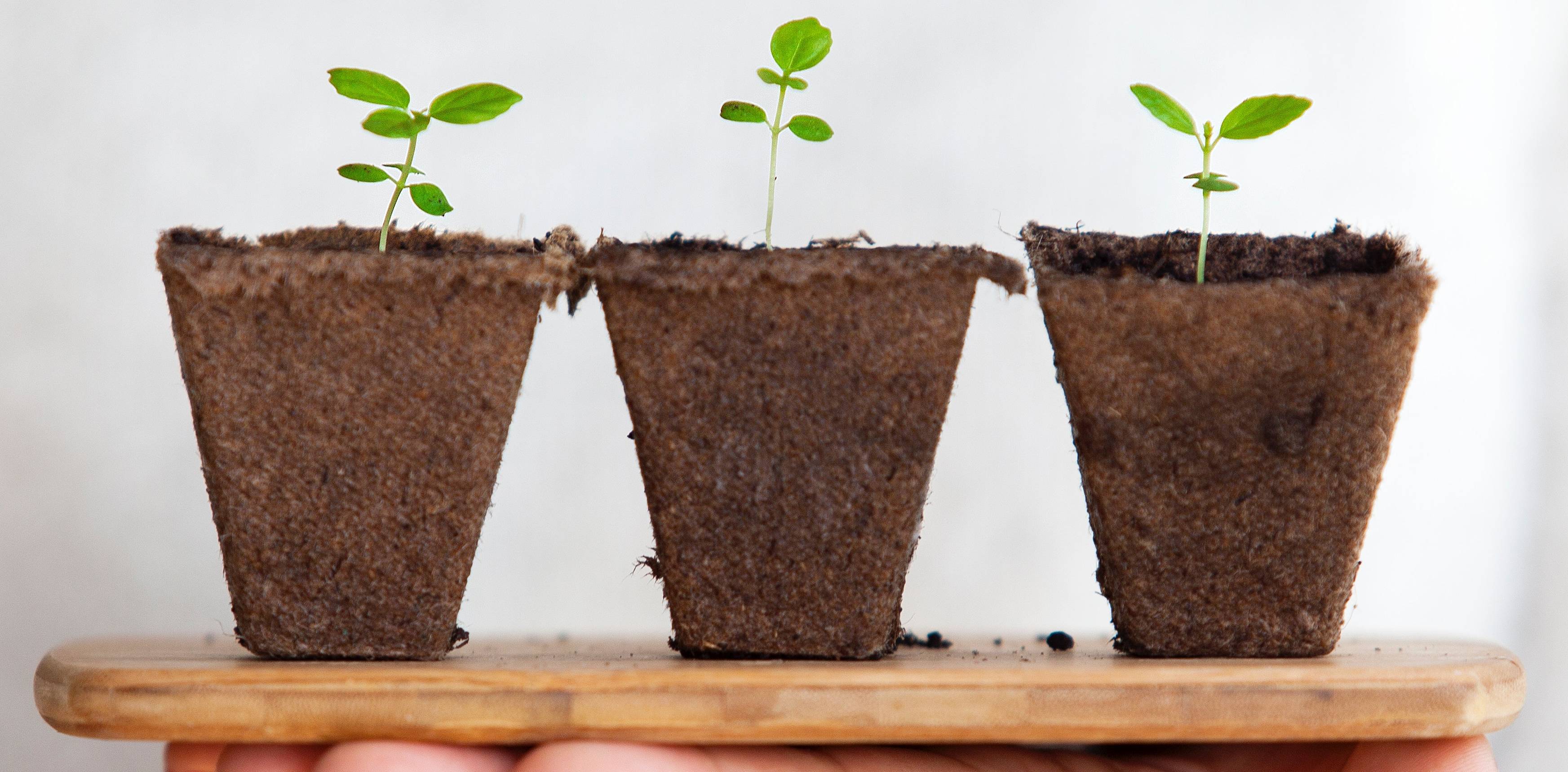 Connect - Grow - Serve