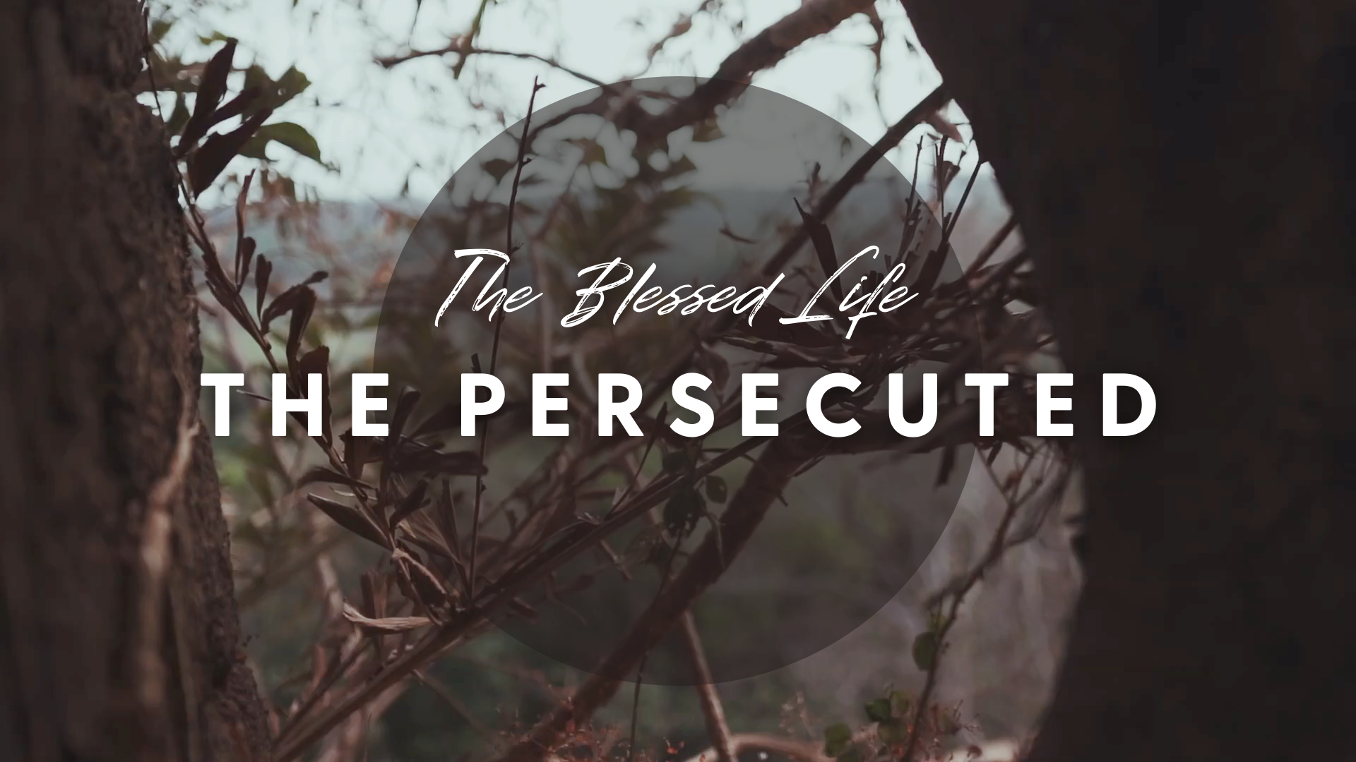 The Blessed Life: The Persecuted