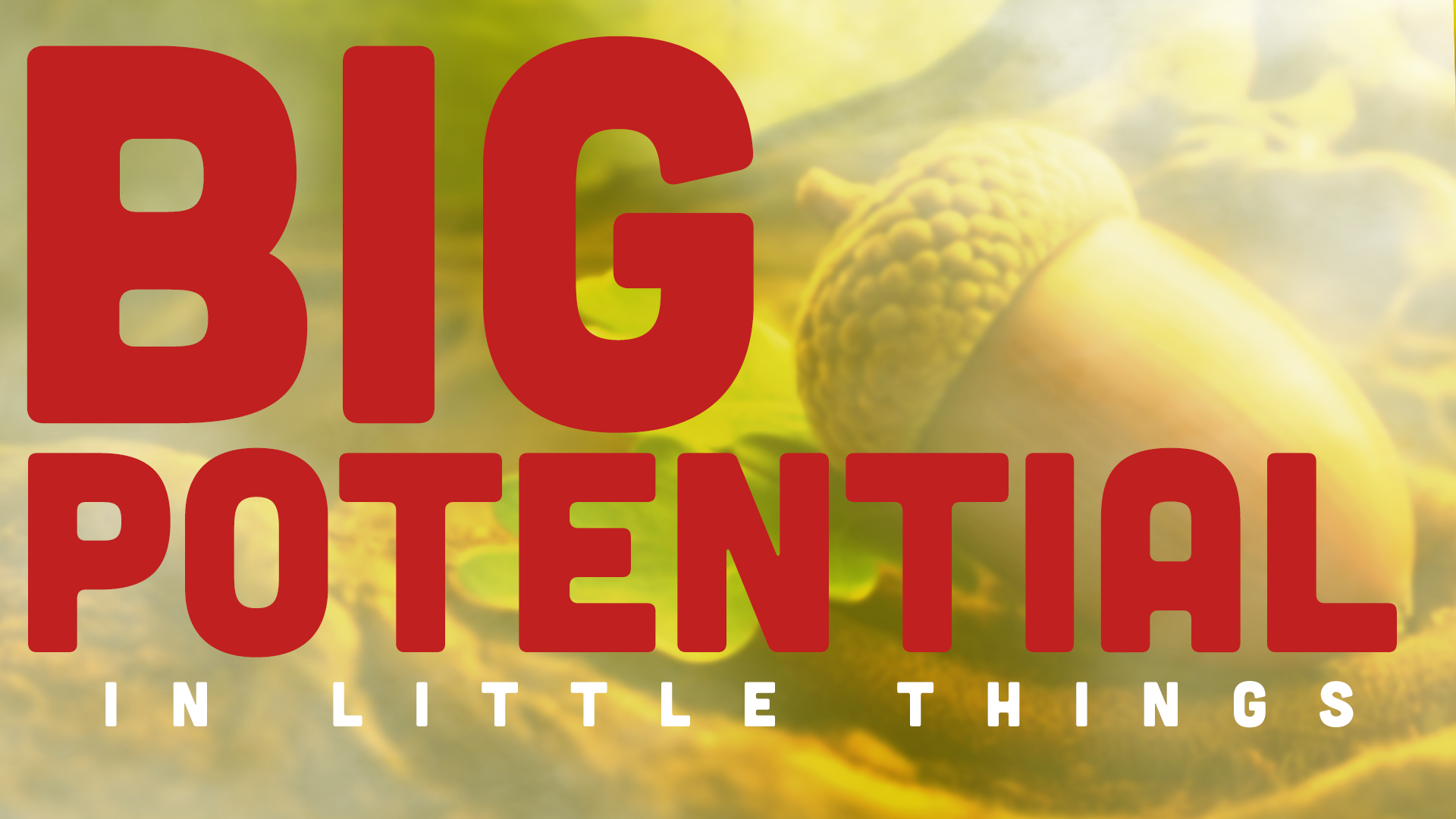 Big Potential In Little Things - Bishop Grannum - The Outpouring with ...