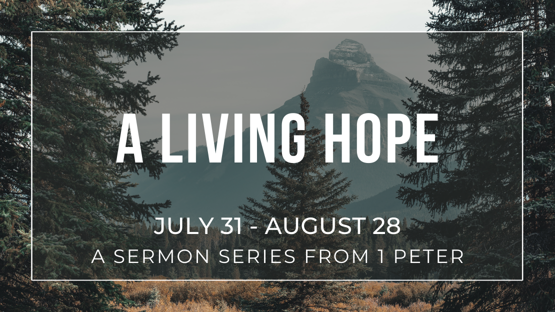 A Sermon About Being Born, Having Belonging, and Living with a Purpose