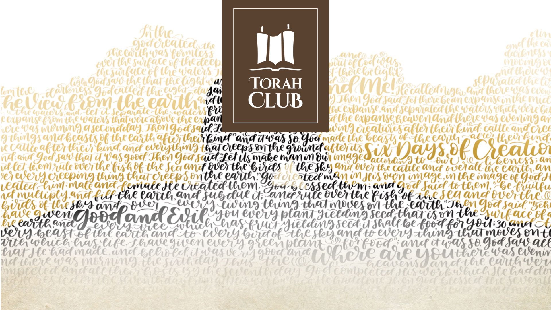 Torah Club